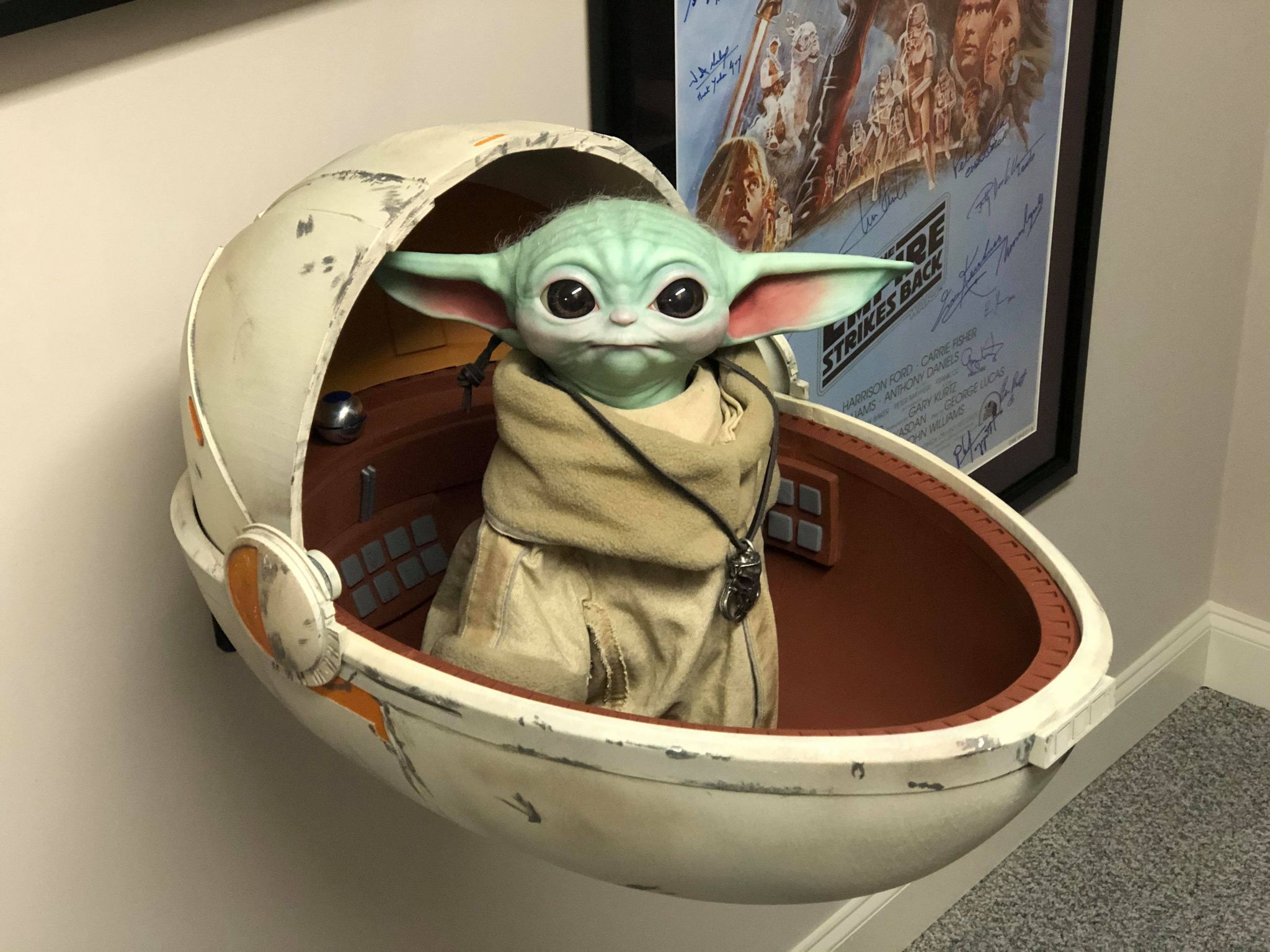 Dr. David C. Simonds, DMD – Evans Family Dental Associates